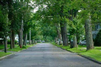 Shade Tree Commission - City of Ravenna, Ohio